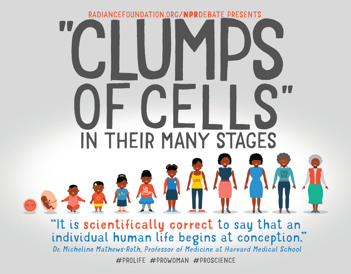 "CLUMPS OF CELLS" 4.2in x 5.5in Postcard – Radiance Stuff Store